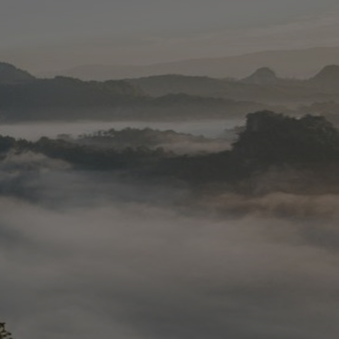 Limostudio – limostudio