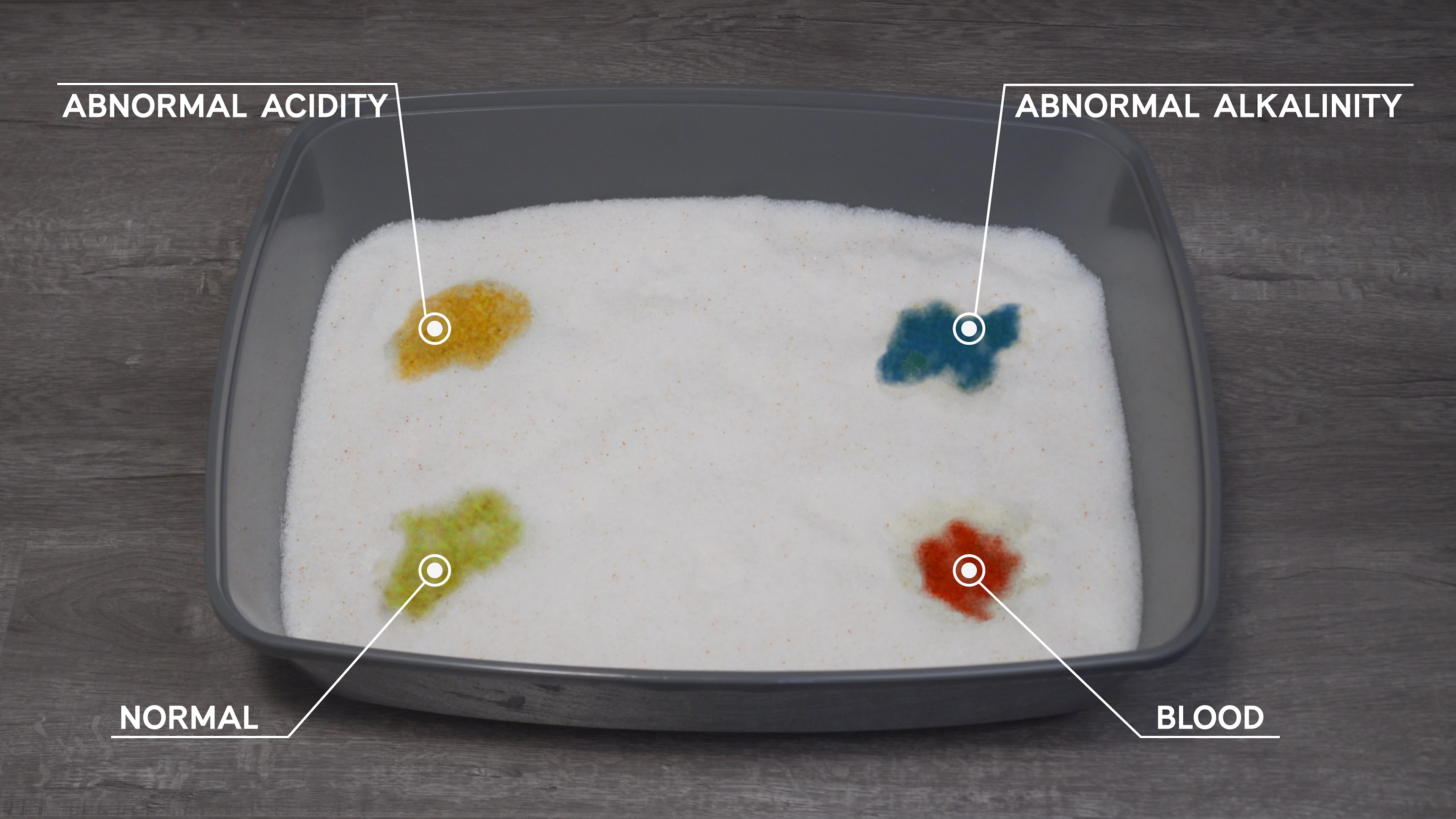 What Color Is Cat Pee Supposed To Be
